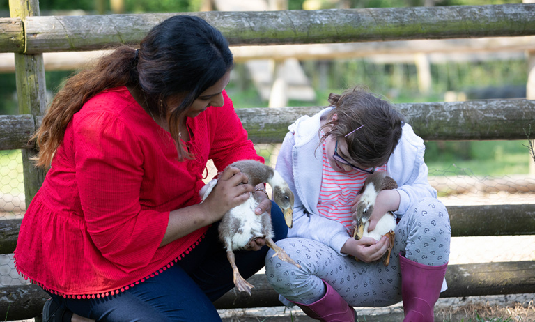 Residential Care - New Forest Care